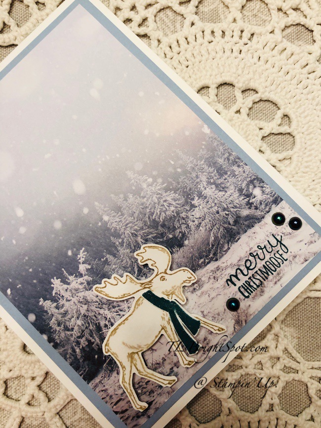 SU! Merry Moose | TLsBrightSpot