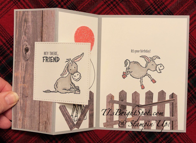 Stampin’ Up! Darling Donkey Birthday Fun Fold
