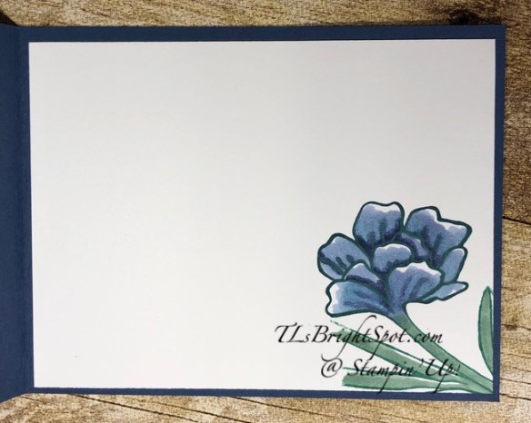Stampin’ Up! Five Cards with FREE DSP | TLsBrightSpot