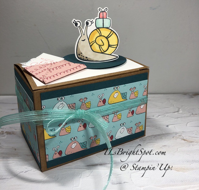 Stampin’ Up! Snailed It w/ Mini Shipping Boxes | TLsBrightSpot