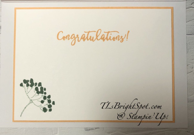 Stampin’ Up! Congratulations with Hand-Penned | TLsBrightSpot