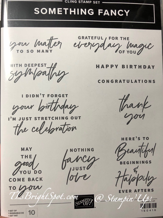 Stampin’ Up! Something Fancy Sympathy Fun Fold | TLsBrightSpot