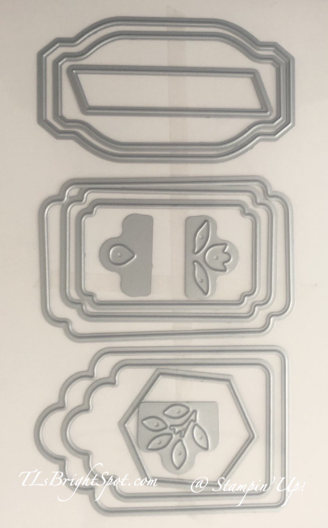 Stampin’ Up! Showing off NEW Fancy Flora 6×6 DSP | TLsBrightSpot