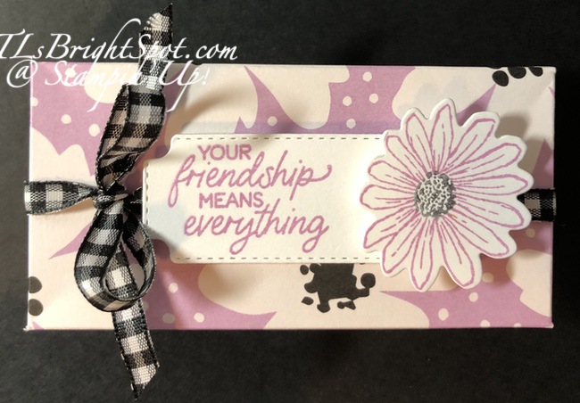 Stampin’ Up! Delightfully Eclectic Box | TLsBrightSpot