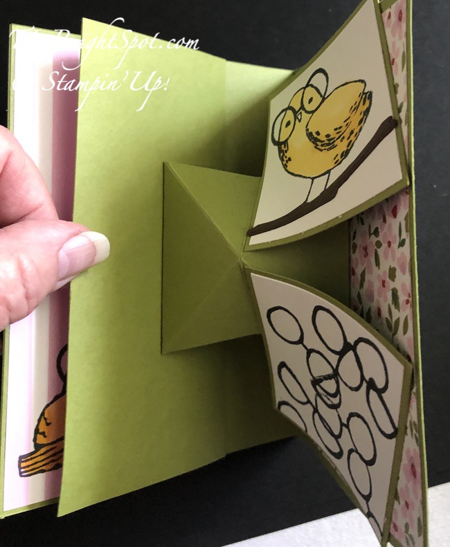 Stampin’ Up! Bird’s Eye View Double Po-Up Card | TLsBrightSpot