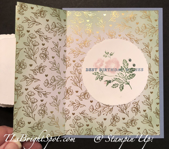 Stampin’ Up! 2, 4, 6, 8 card with Most Adored SDSP, Plus Flight & Airy DSP