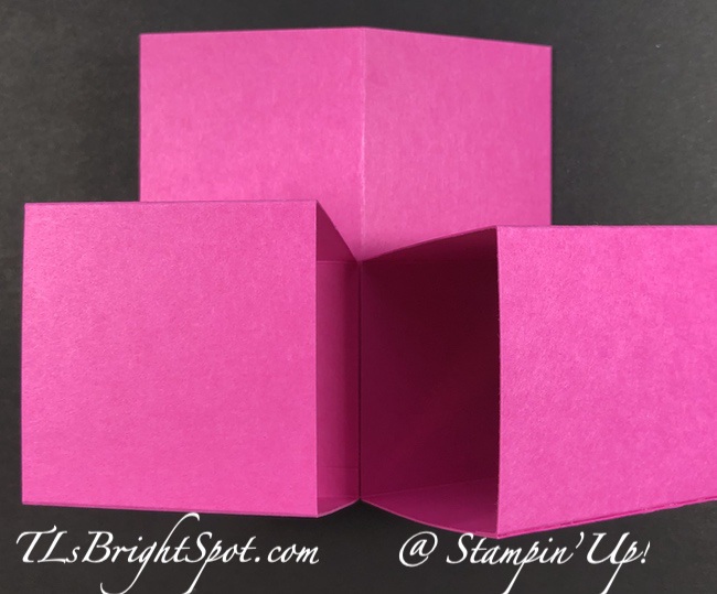 Stampin’ Up! Translucent Florals Triple Box Card
