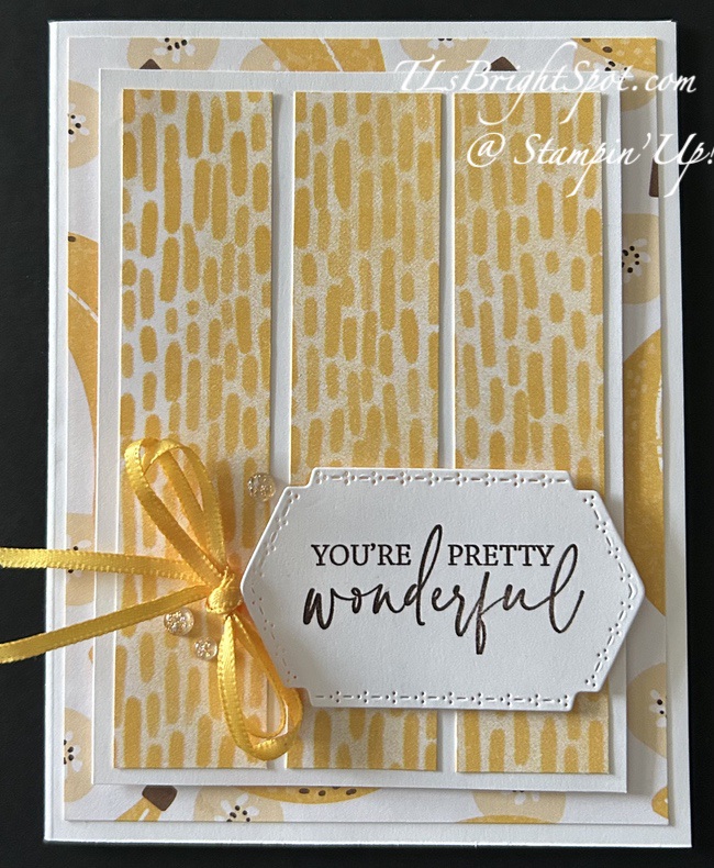 Stampin’ Up! 3 Panel Cards with DSP