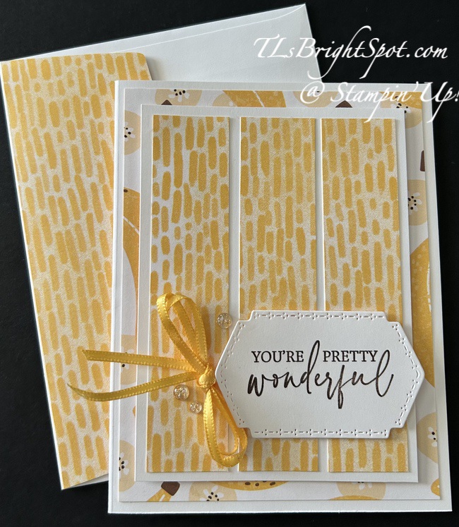 Stampin’ Up! 3 Panel Cards with DSP | TLsBrightSpot