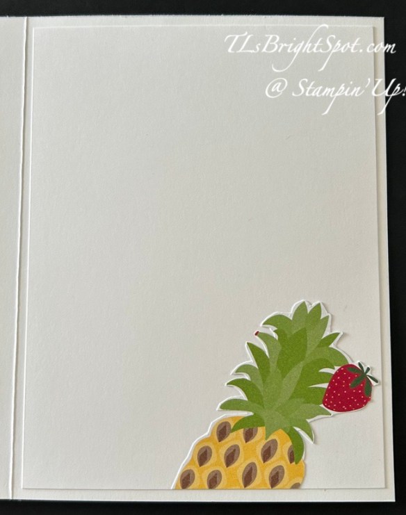 Stampin’ Up! 3 Panel Cards with DSP | TLsBrightSpot