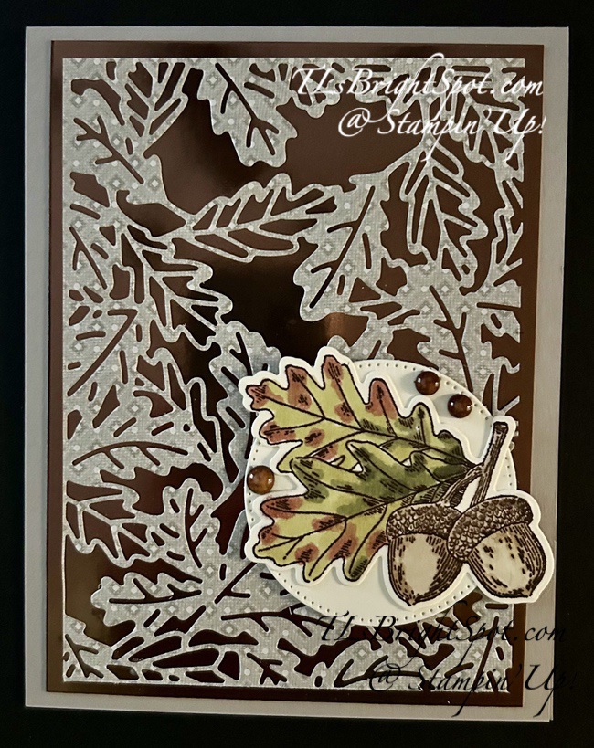 Stampin’ Up! NEW Amber Autumn Sneak Peek for Amy’s Inkin’ Krew Blog Hop ...