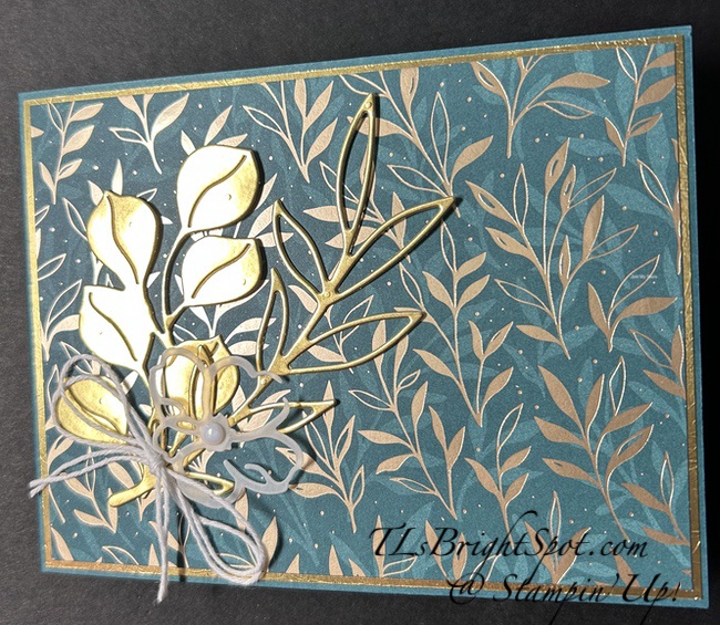 Blog | TLsBrightSpot